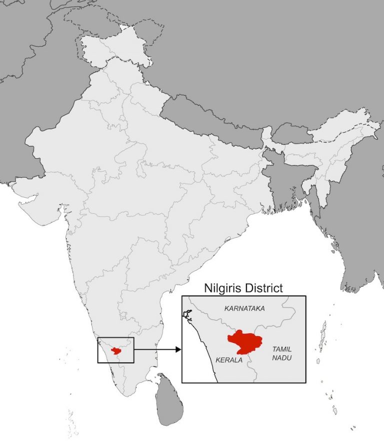 THE NILGIRI ARCHAEOLOGICAL PROJECT